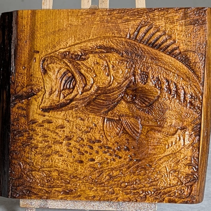 Unique Aquatic Wood - Etsy