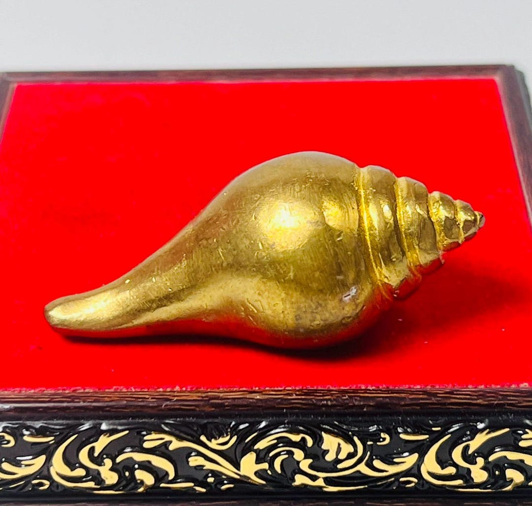 Natural Conch Shell Gold Laos Leklai Powerful From Buffalo Mountain ...