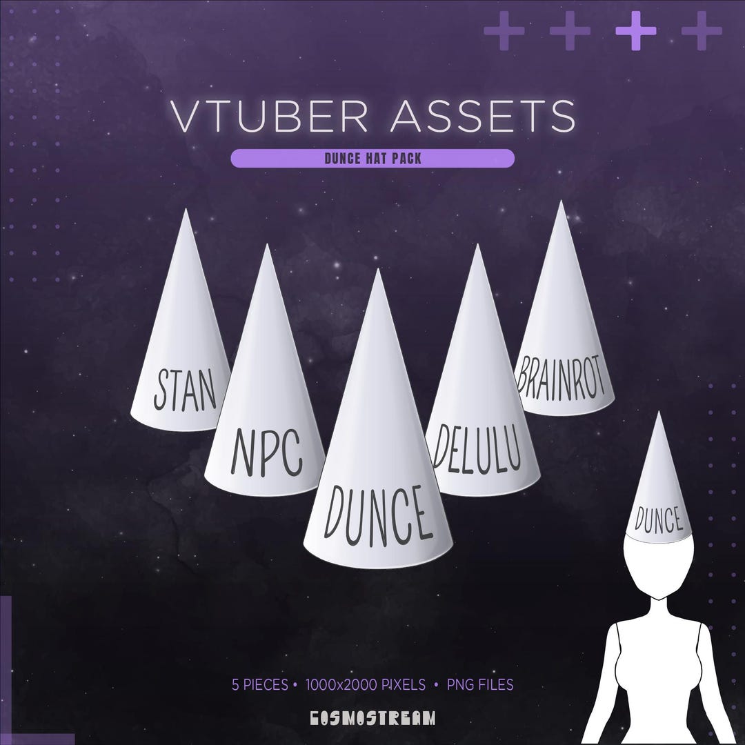 Funny Dunce Hat Vtuber Asset: Dunce, Delulu, NPC, Stan, Brainrot - Etsy