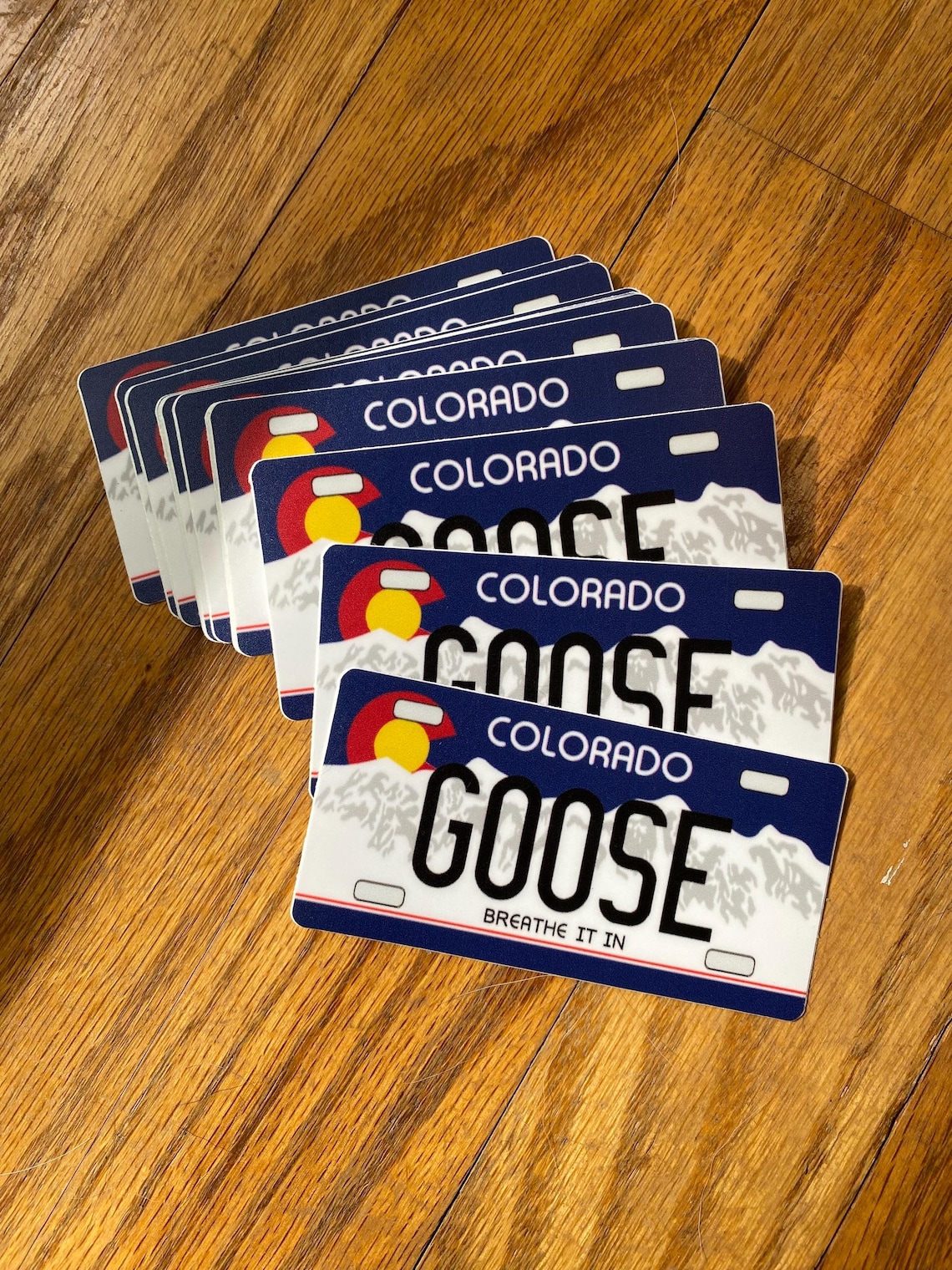 Goose the Band Colorado License Plate Sticker - Etsy