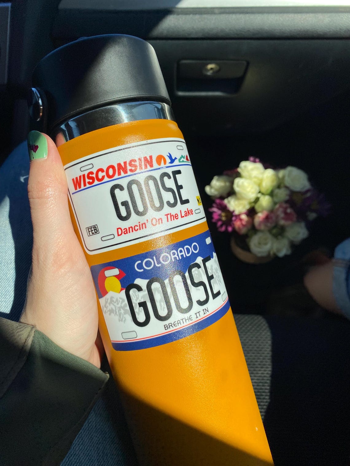 Goose the Band Colorado License Plate Sticker - Etsy