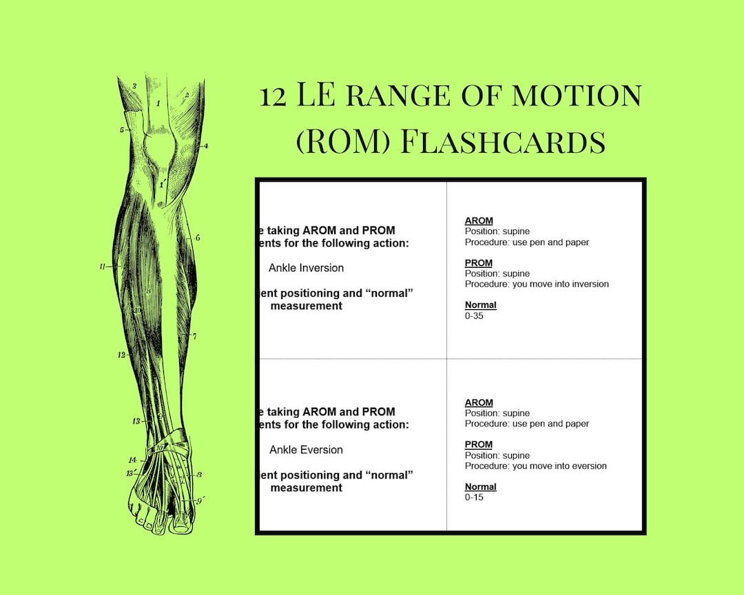 FLASHCARDS, Study Aids; Lower Extremity Range of Motion (ROM) for ...