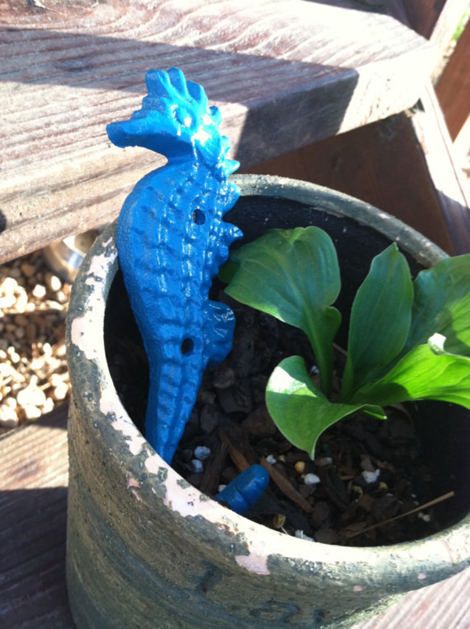 Seahorse Seahorse Hook Beach Decor Wall Hook | Etsy