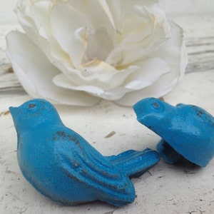 Drawer Pulls / Drawer Knobs / Bird Knobs, Shabby Chic Knobs / Set of 2 Knobs - Etsy