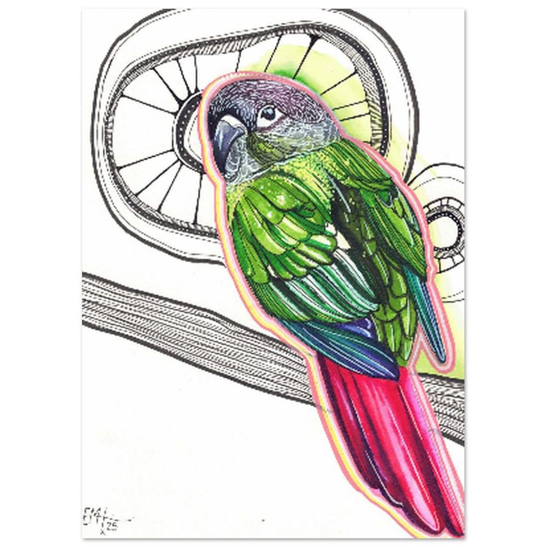 Lucky Green Cheek Conure Fine Art Poster - Etsy