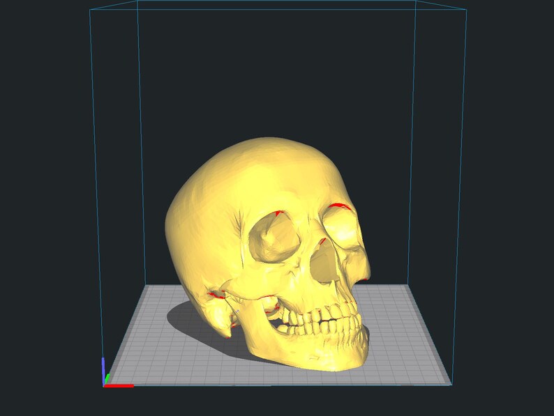 Human Skull STL File – Realistic 3D Printable Replica | Anatomical ...
