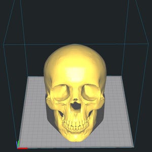 Human Skull STL File – Realistic 3D Printable Replica | Anatomical ...