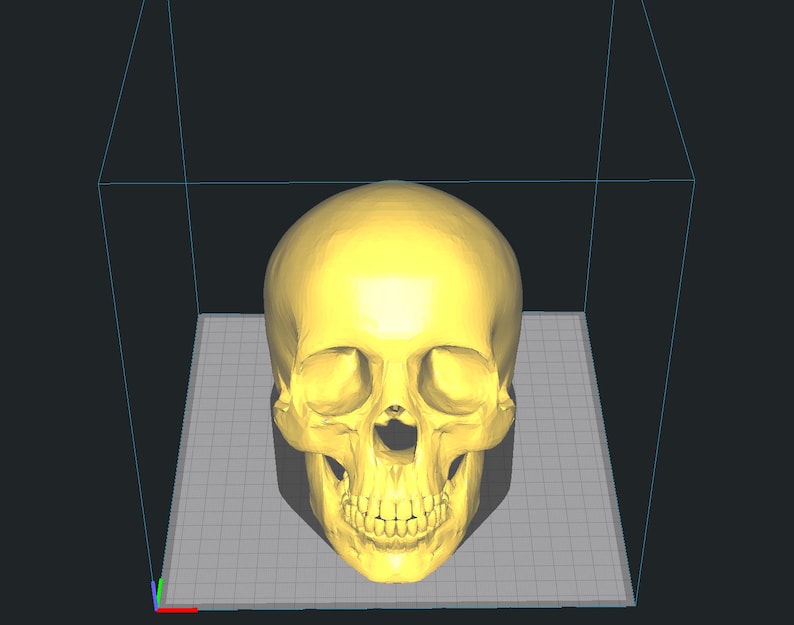 Human Skull STL File – Realistic 3D Printable Replica | Anatomical ...