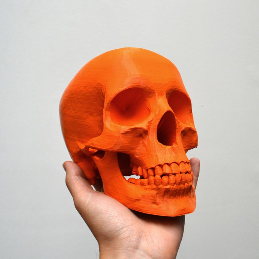 Human Skull STL File – Realistic 3D Printable Replica | Anatomical ...