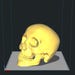 Human Skull STL File – Realistic 3D Printable Replica | Anatomical ...