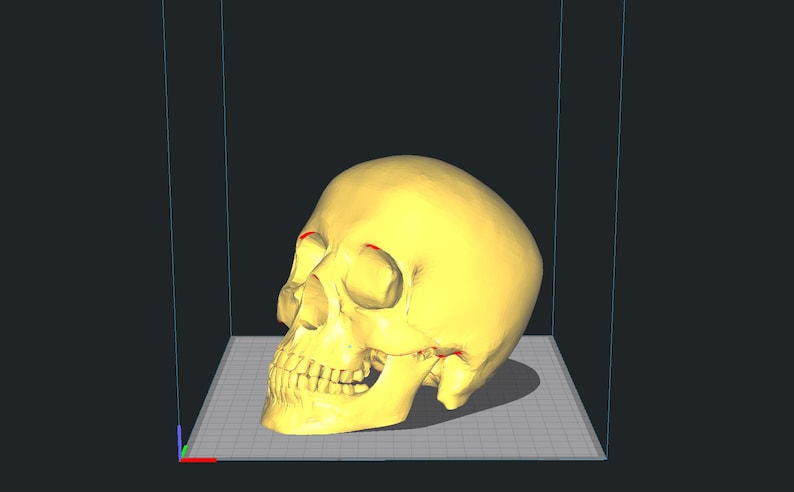Human Skull STL File – Realistic 3D Printable Replica | Anatomical ...