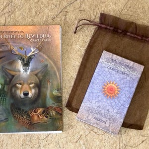 Animal Oracle Cards • Threatened Species of North America - Etsy