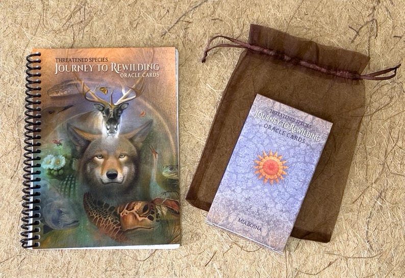 Animal Oracle Cards • Threatened Species of North America - Etsy