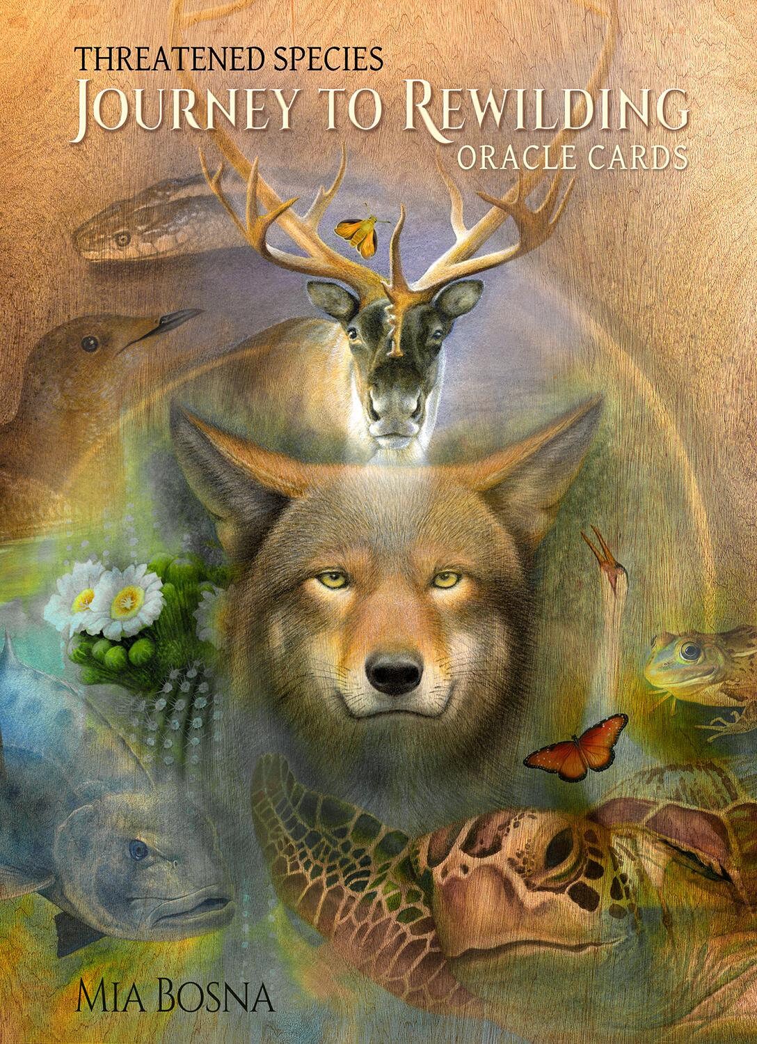 Animal Oracle Cards • Threatened Species of North America - Etsy