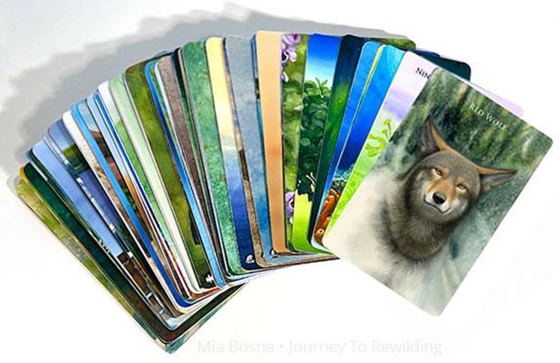 Animal Oracle Cards • Threatened Species of North America - Etsy