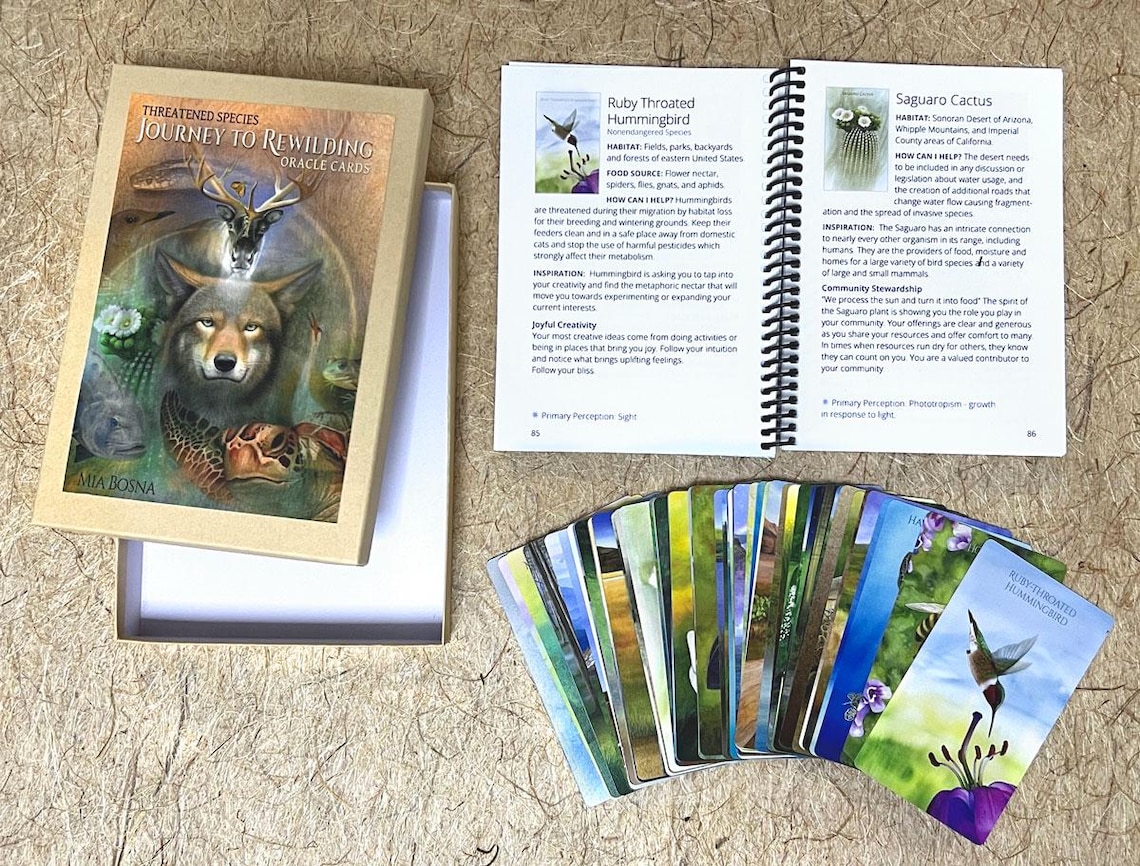 Animal Oracle Cards • Threatened Species of North America - Etsy