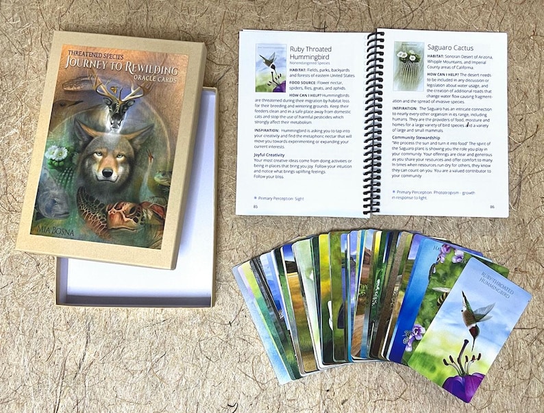 Animal Oracle Cards Threatened Species Journey to Rewilding - Etsy