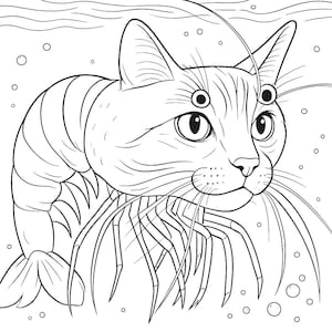 Brainrot Coloring Book - Etsy