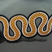 Iron on Patch - Snake Patch Animal Patches Iron on Applique Embroidered ...