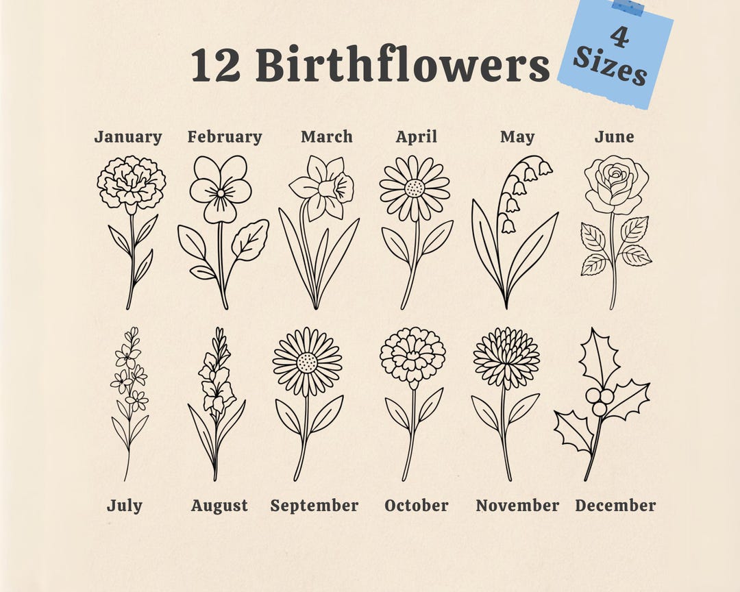 Birth Month Flower Embroidery Files – 12 Line Art Designs for Machine ...