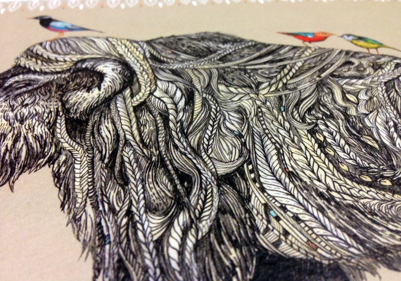 Tusk // Signed A4 Print - Etsy