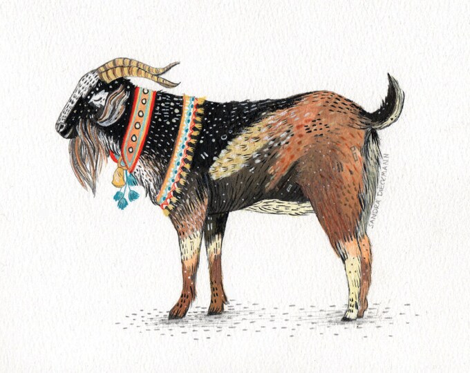 Goat // Signed A3 Print - Etsy