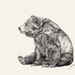 Bear // Greeting Card - Etsy