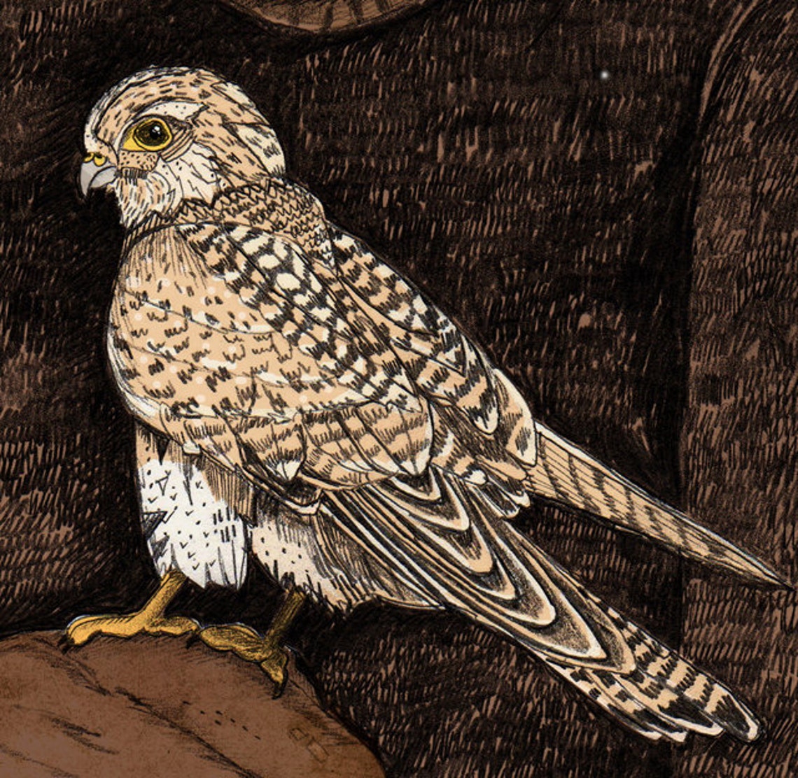 Kes // Signed A4 Print - Etsy