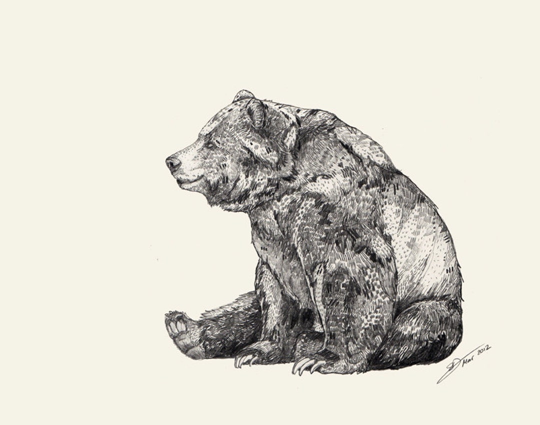 Bear // Signed A4 Print - Etsy