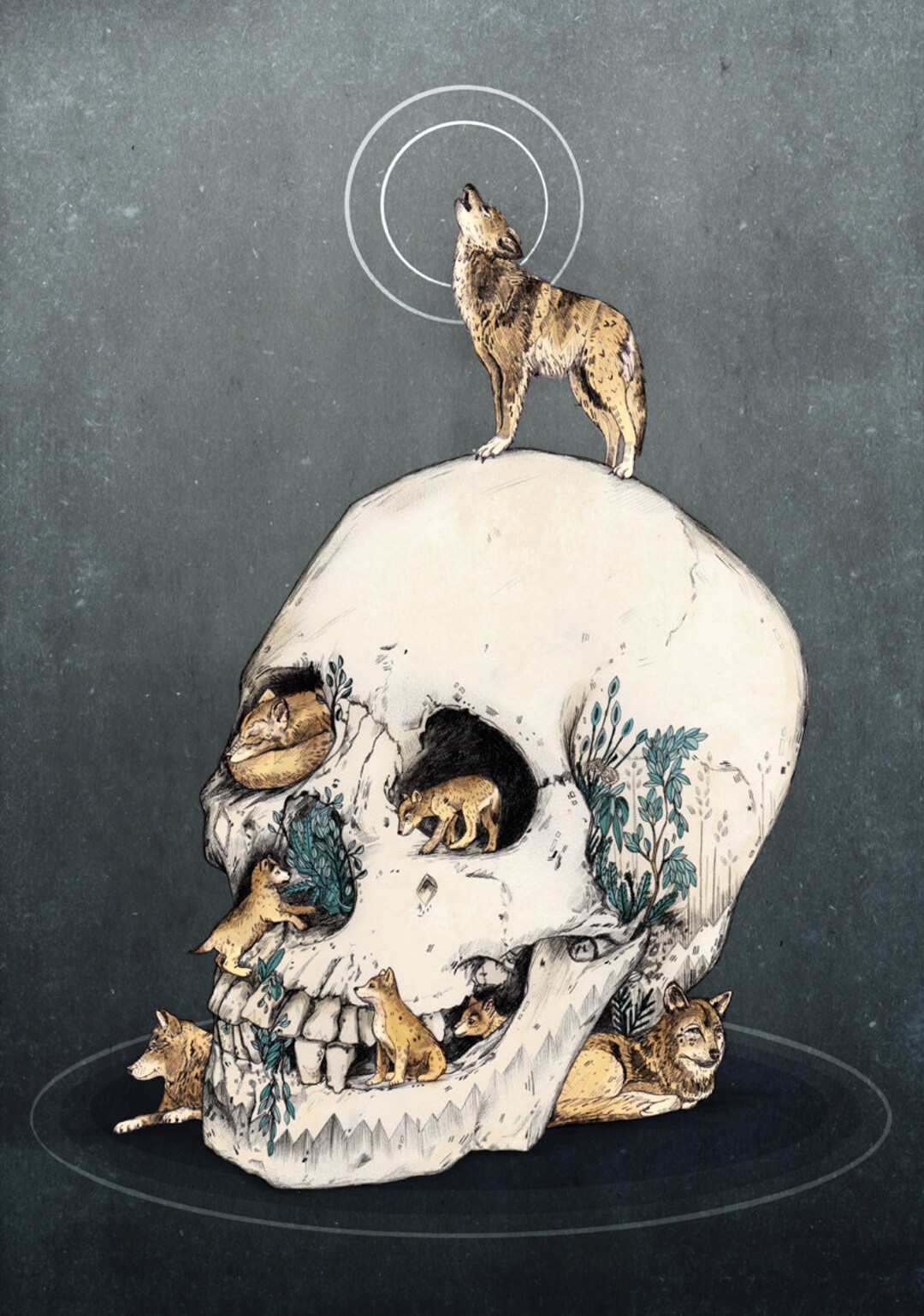 WOLFPACK // Signed A3 Signed Print | 42cm X 29.7cm - Etsy