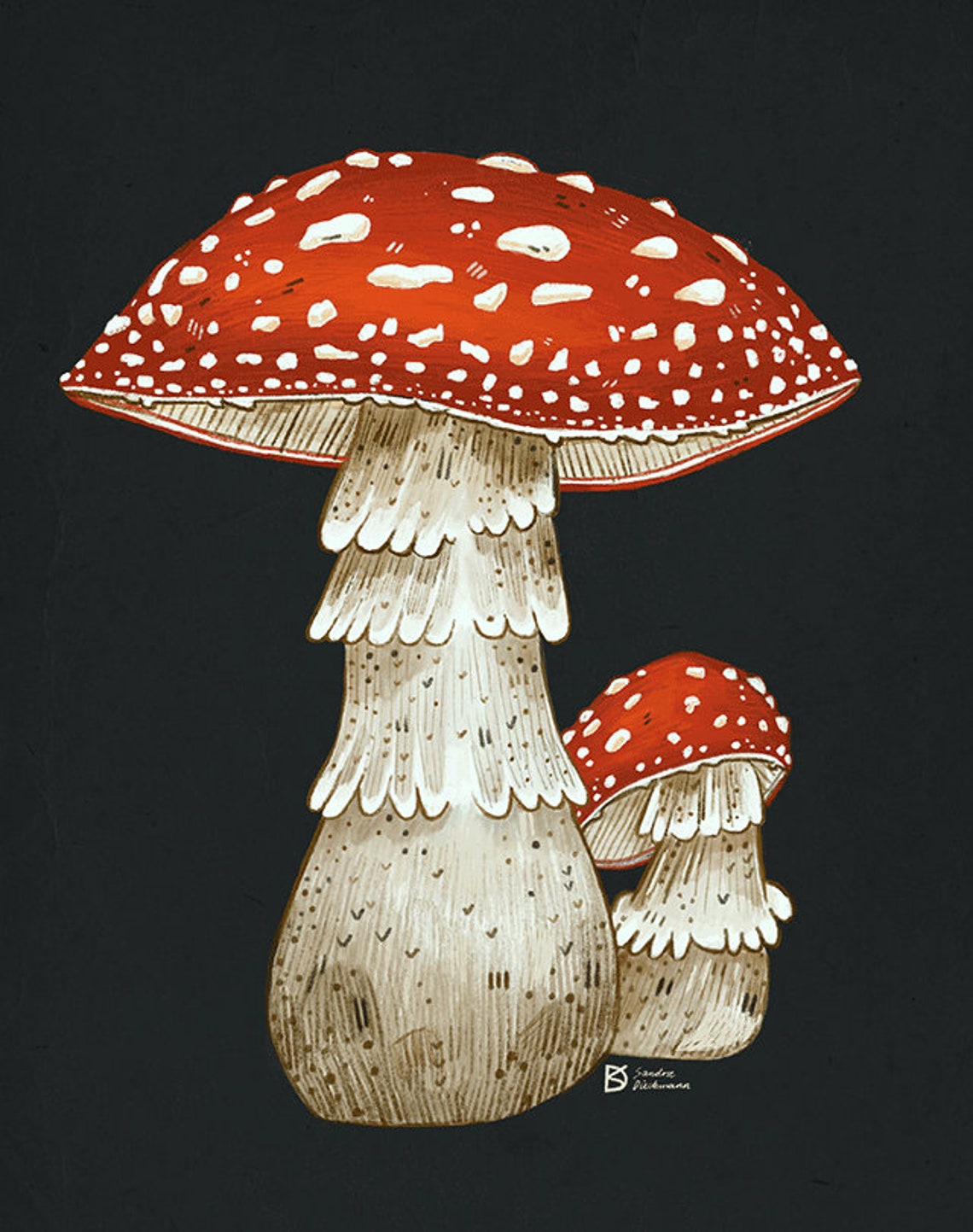 Toadstools // Signed A4 Print | Etsy UK