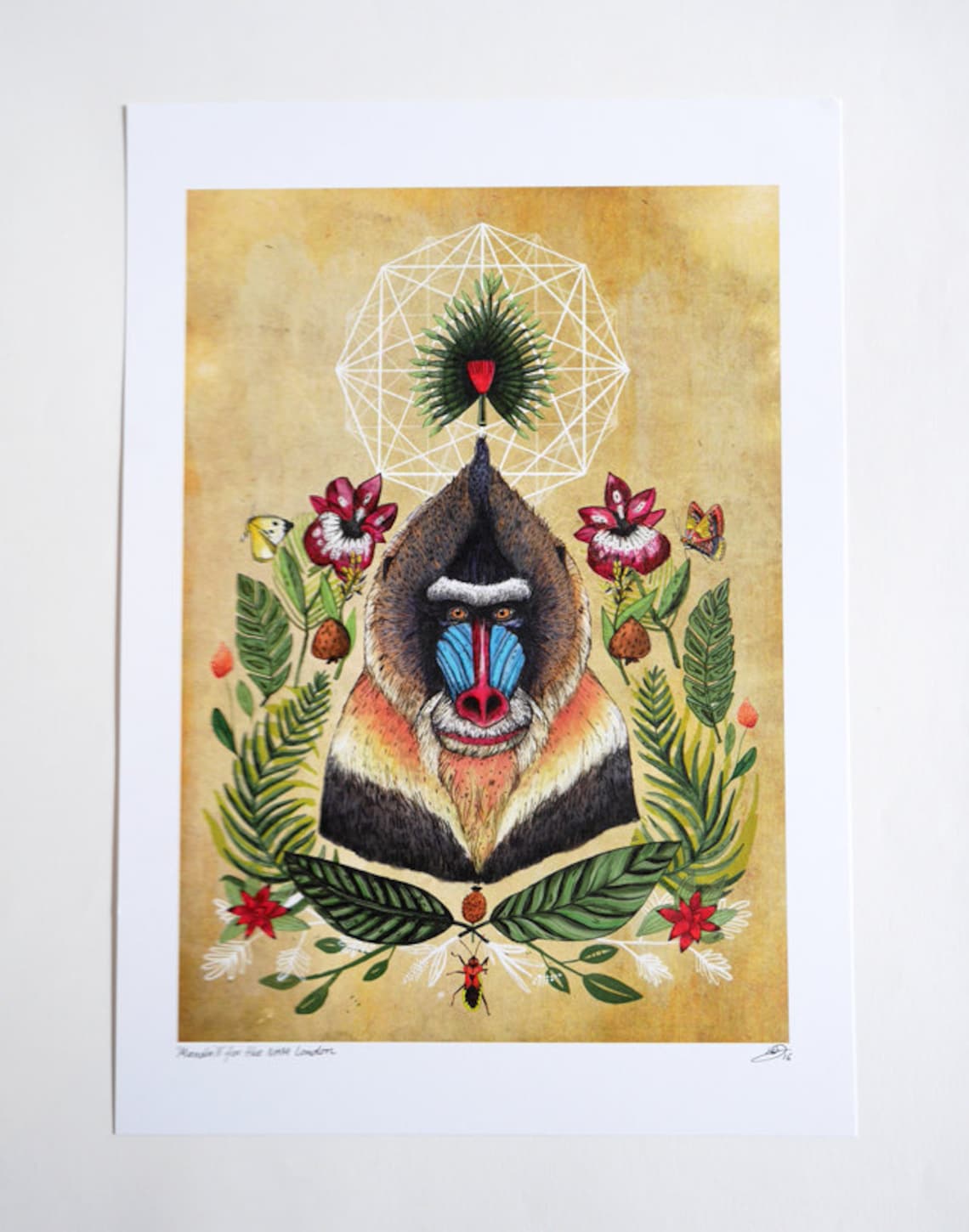 Majestic Mandrill // Signed A3 Print - Etsy UK