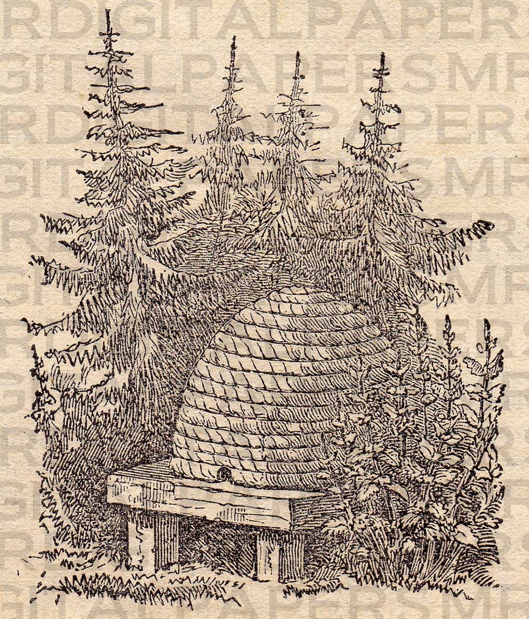 Antique Victorian / Beehive Engraving / 8 X 9 Digital Paper Download ...