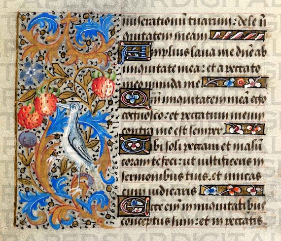 Book of Hours Print / Book of Hours Art / Illuminated Print / - Etsy