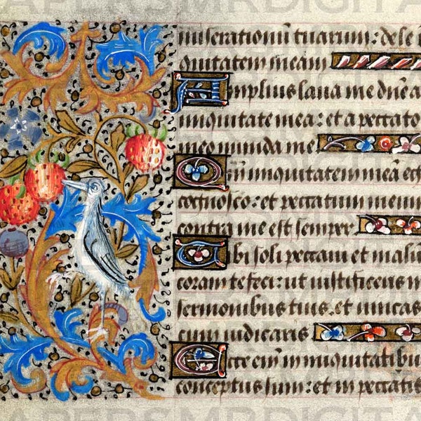 Book of Hours Print / Book of Hours Art / Illuminated Print / Book of ...