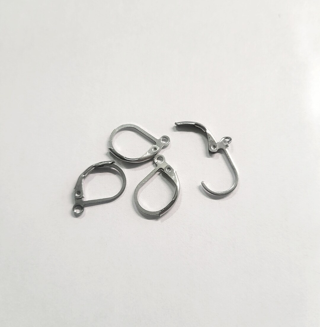 Stainless Steel Hinged French Leverback Ear Wires Earrings Wire Pair 15 ...