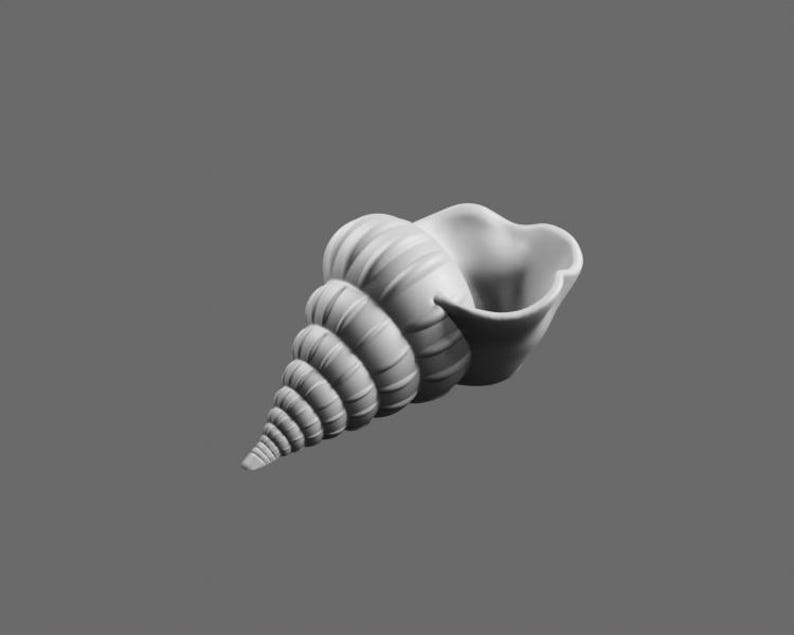 Shell STL File – Realistic Sea Shell 3D Printable Model - Etsy