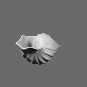 Shell STL File – Realistic Sea Shell 3D Printable Model - Etsy