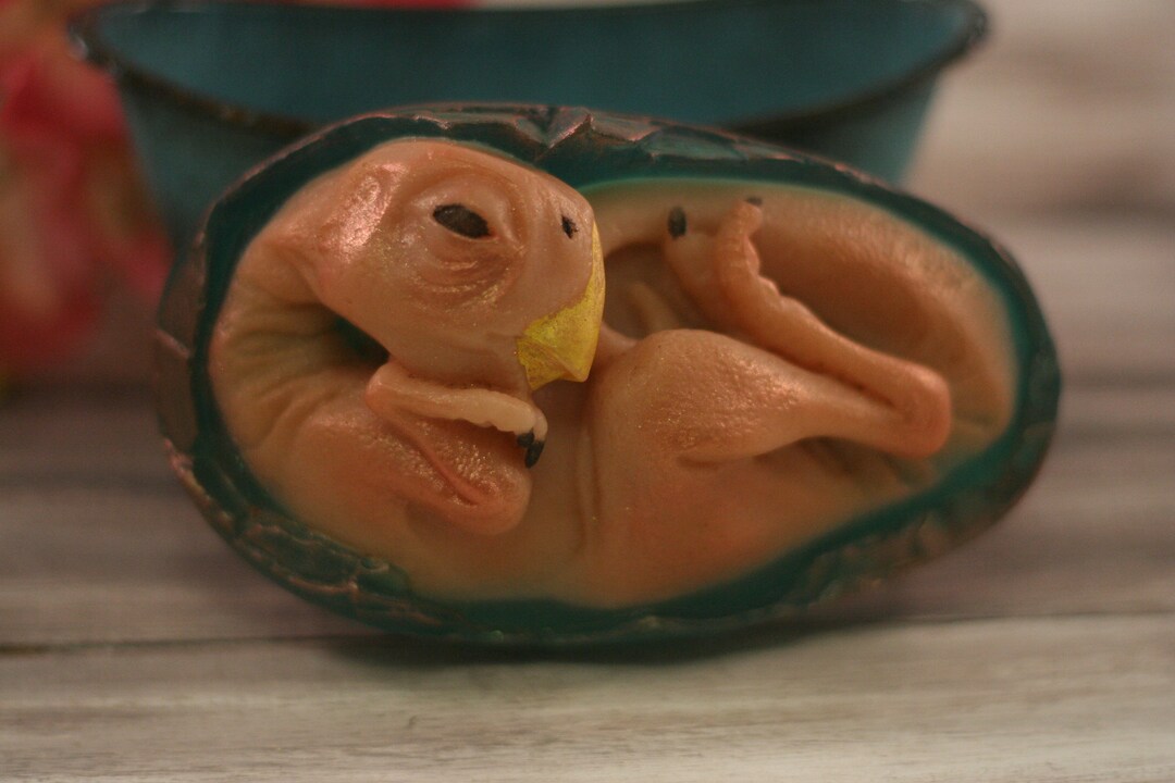 Baby Dinosaur in Egg Shell Soap Decorative Soap Baby Dino Shell ...