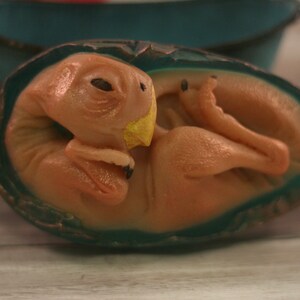 Baby Dinosaur in Egg Shell Soap Decorative Soap Baby Dino Shell ...