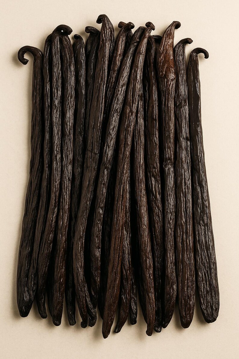 Premium XL Mexican Bourbon Vanilla Beans 100g – 20 to 25cm – Grown in Madagascar – Grade A ...