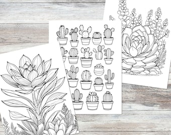 10 Printable Plant Coloring Pages PDF - Etsy