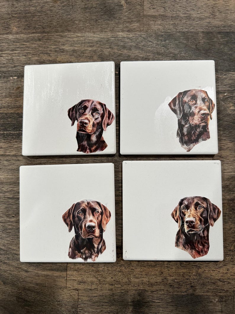 Chocolate Labrador Ceramic Coaster Set - Dog Lover Gift - Etsy
