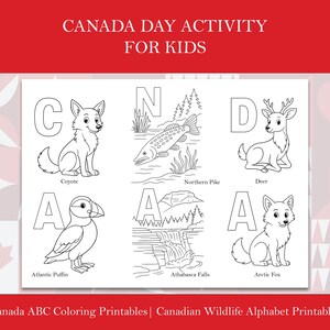 Canada Day 2025 Printable Worksheet, Digital Download Preschool ...