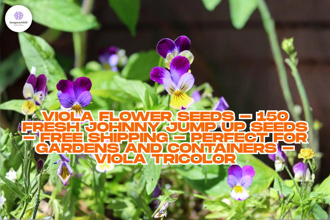 Johnny Jump up Flower Seeds - 150 Viola Tricolor Seeds - Etsy