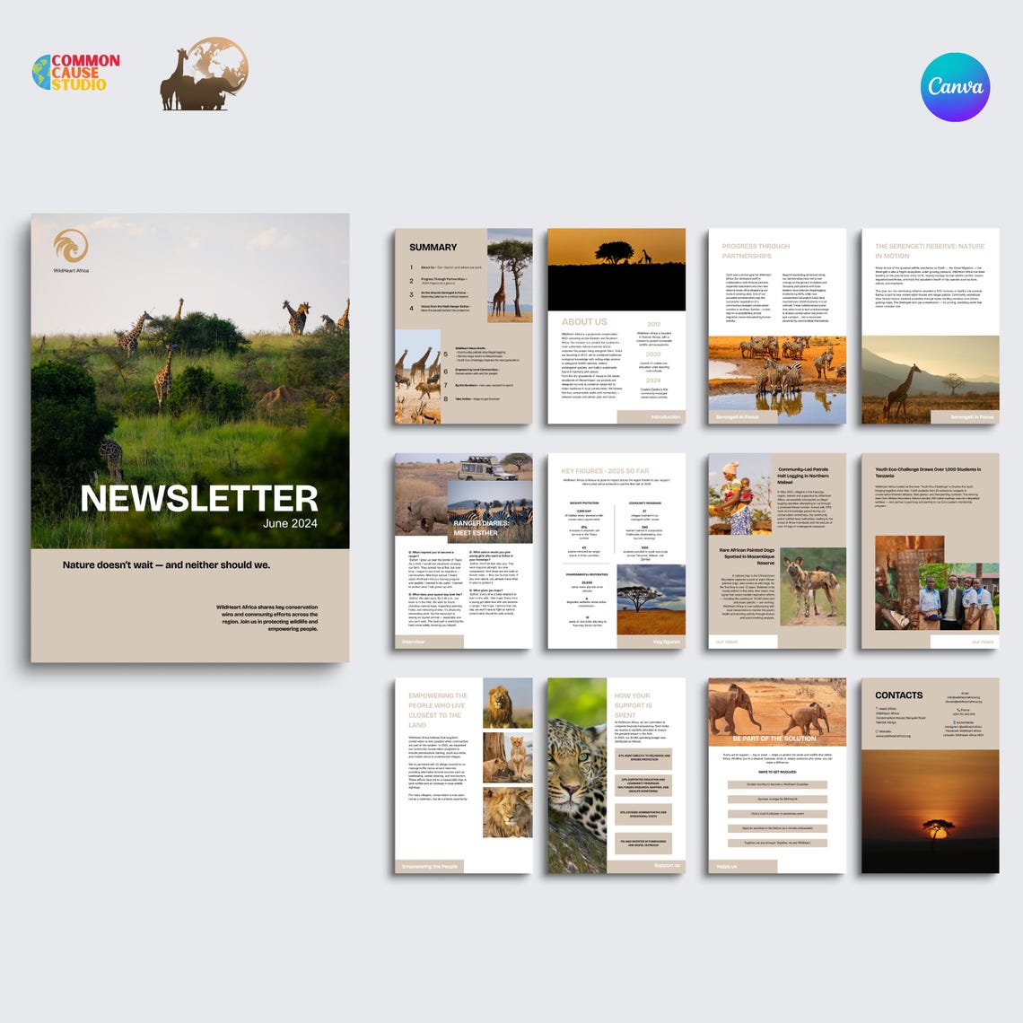 Digital Product | Newsletter Template | NGO Impact Report Canva Design ...