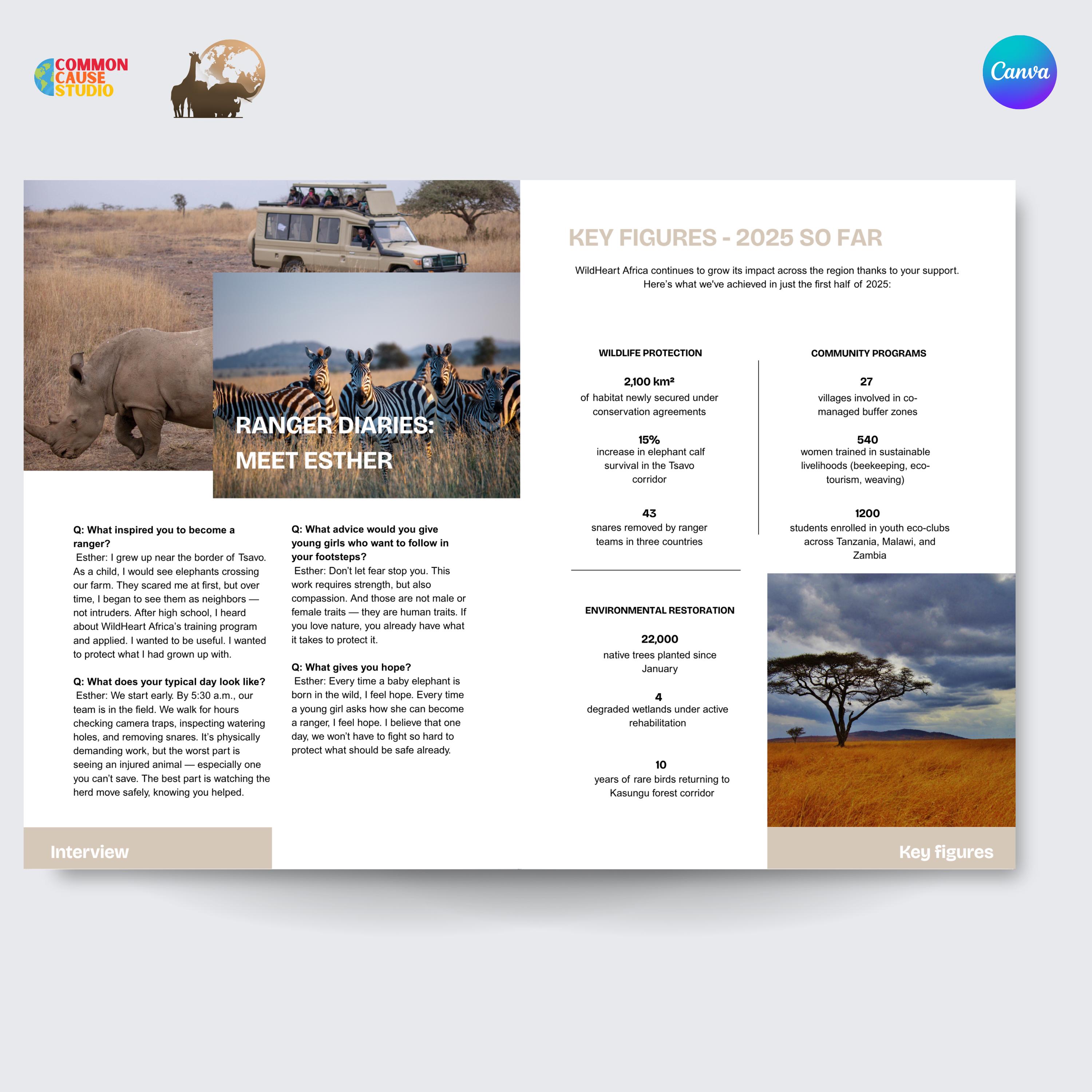 Digital Product | Newsletter Template | NGO Impact Report Canva Design ...