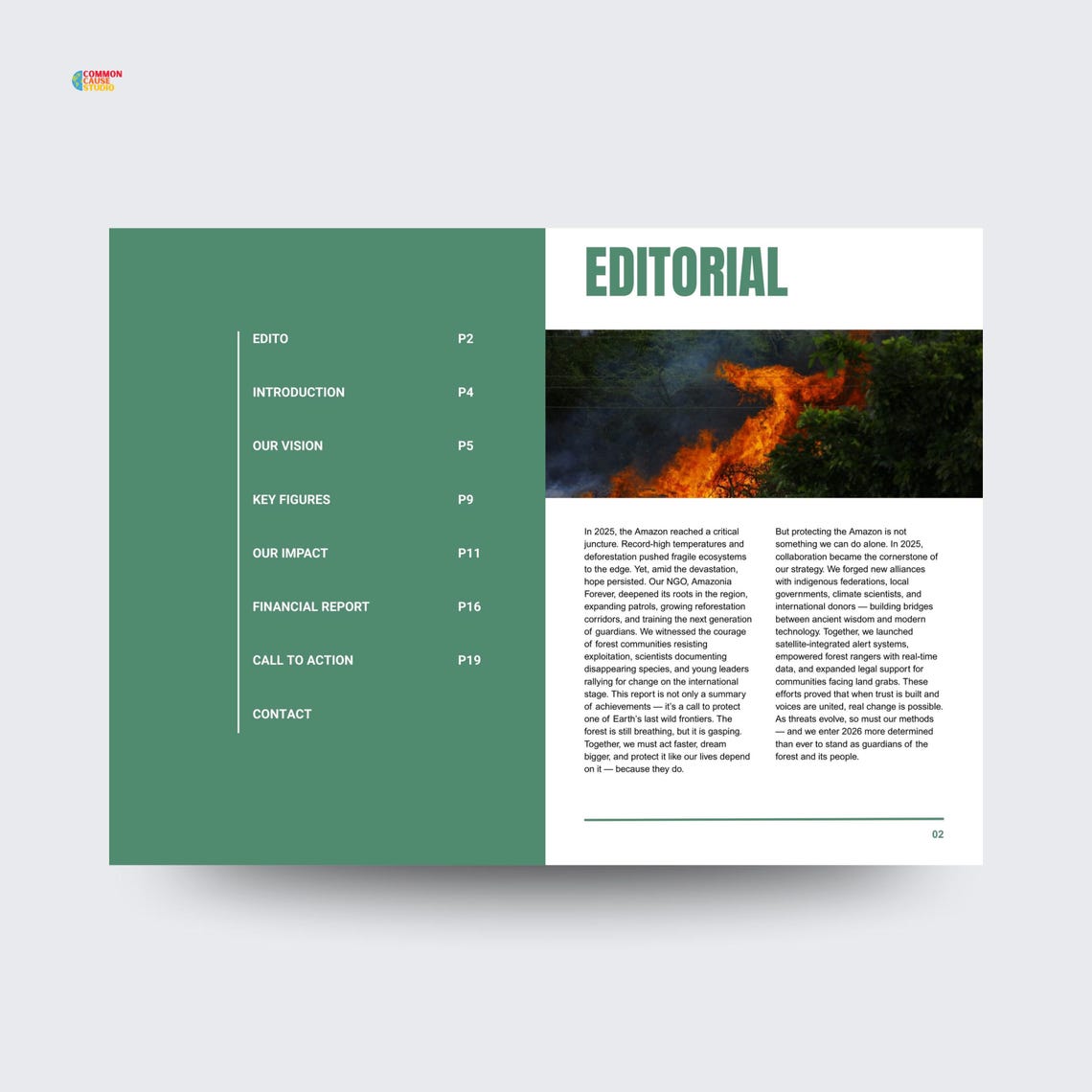 Annual NGO Report Template | Non-profit | Editable Canva | Charity ...