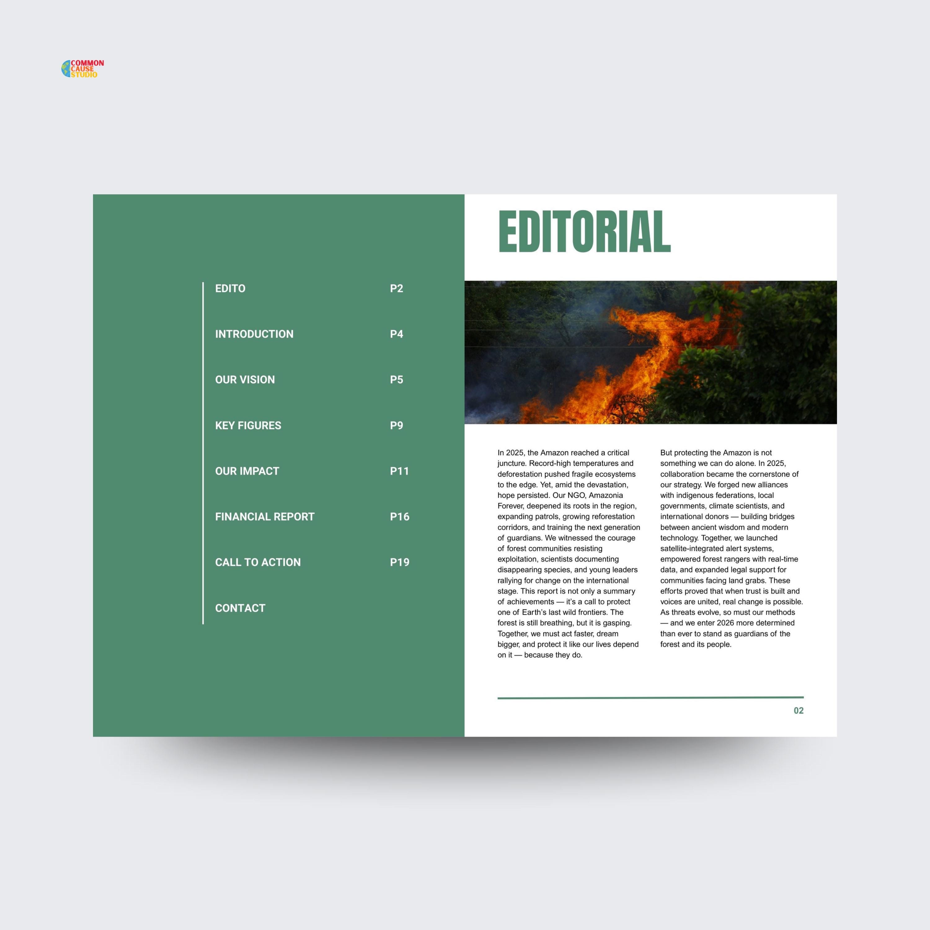 Annual NGO Report Template | Non-profit | Editable Canva | Charity ...