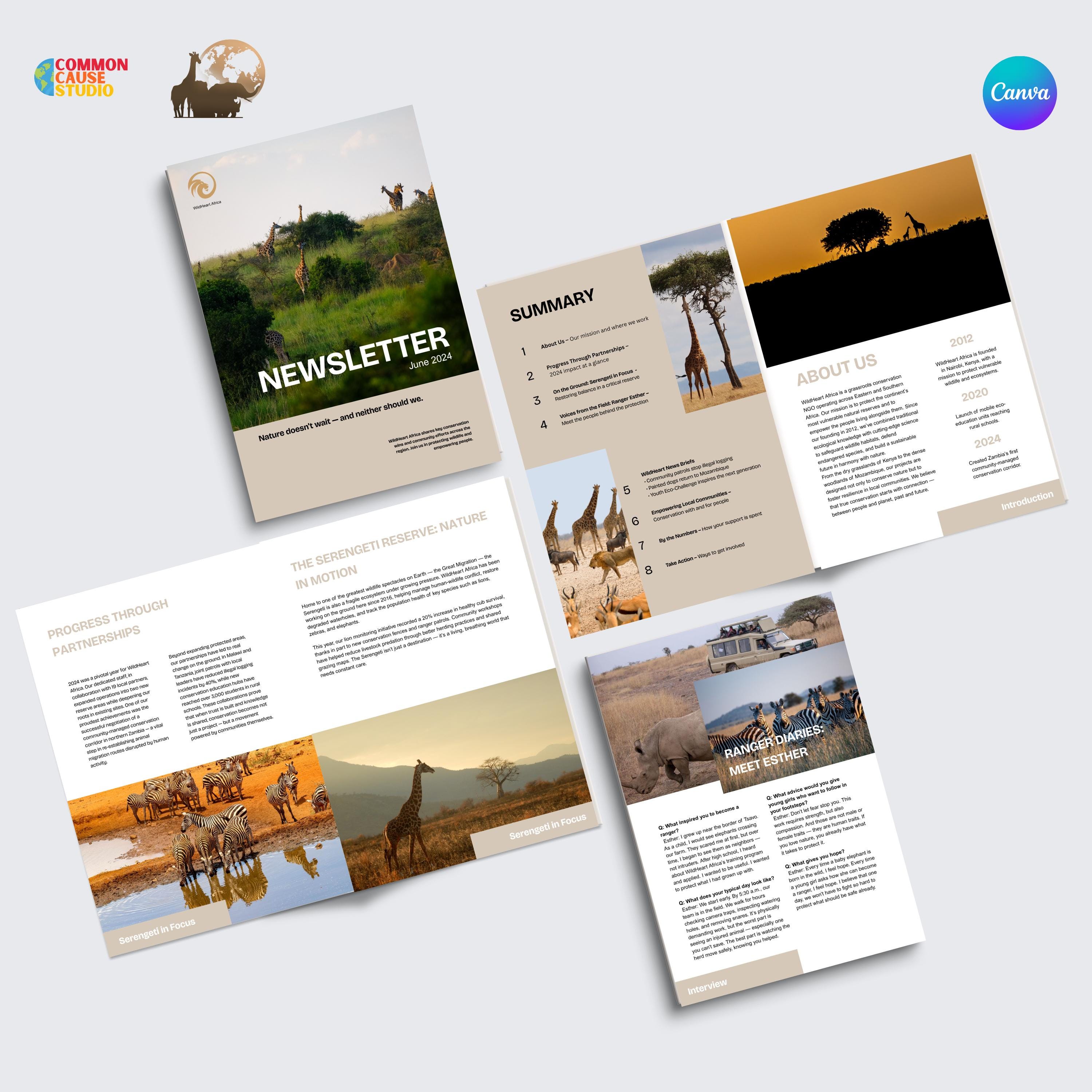 Digital Product | Newsletter Template | NGO Impact Report Canva Design ...